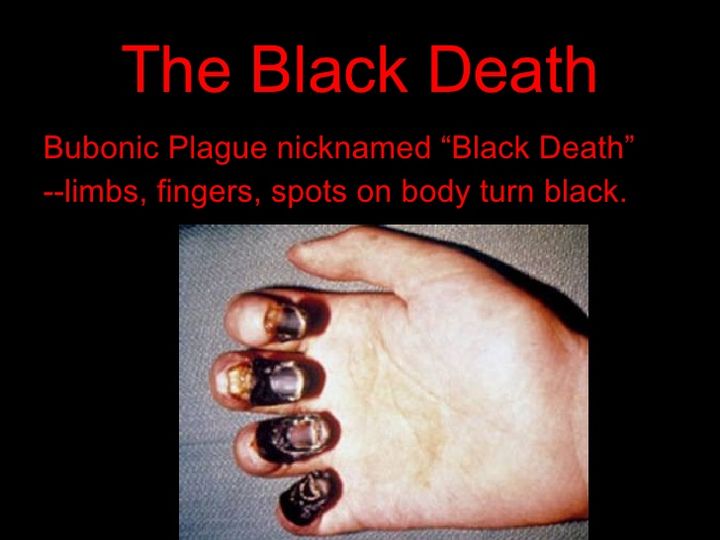 Plagues Are A Mercy - Wishes Ocean