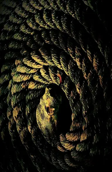 Dealing With Past Trauma - Wishes Ocean